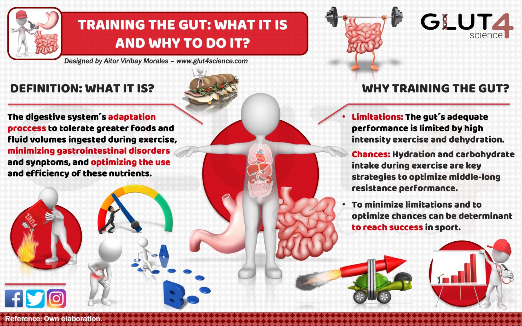 Training the gut: What it is? - Glut4 Science